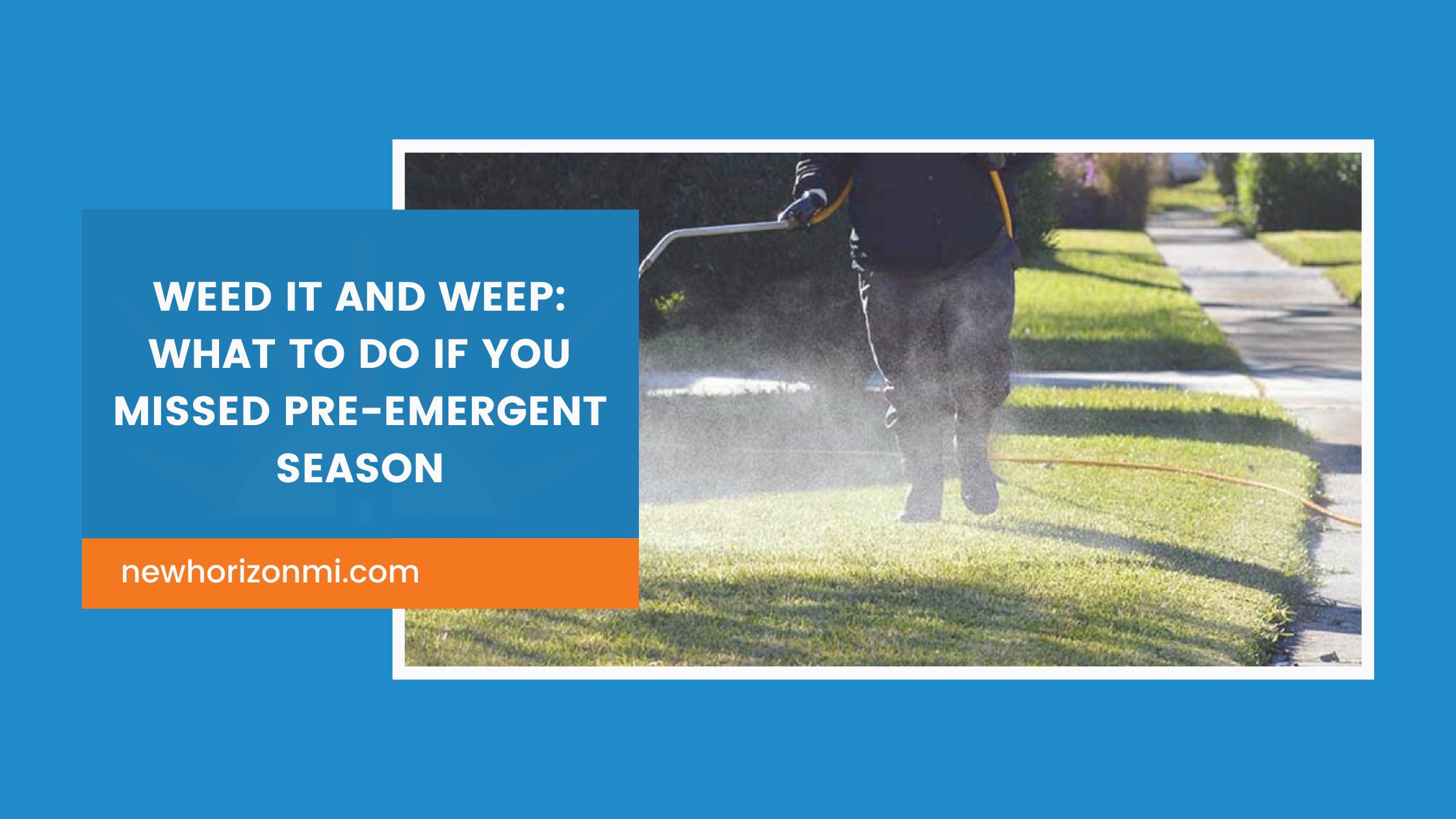 Weed It and Weep: What to Do If You Missed Pre-Emergent Season - New ...