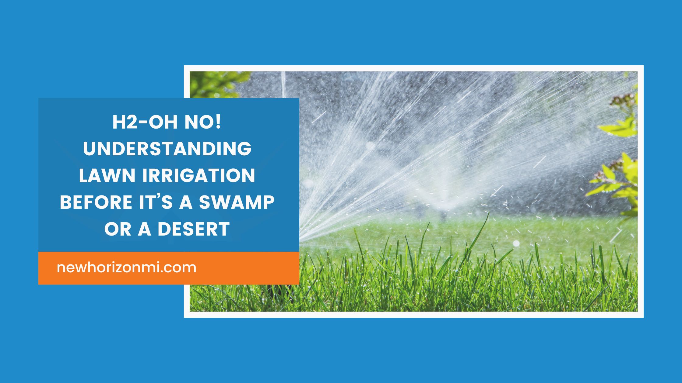💧 H2-Oh No! Understanding Lawn Irrigation Before It’s a Swamp or a Desert - New Horizon Property ...