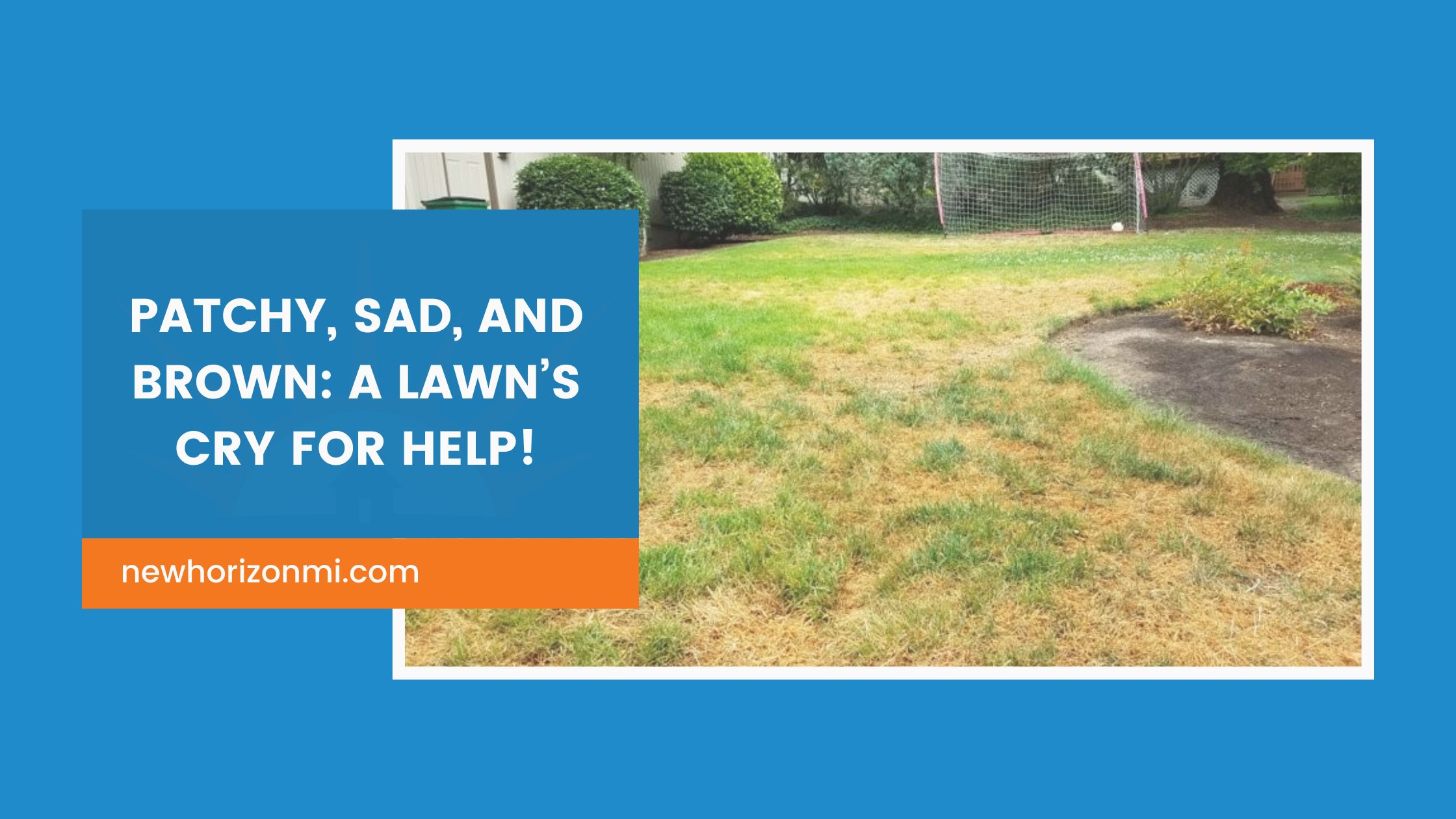 Patchy, Sad, and Brown: A Lawn’s Cry for Help! - New Horizon Property ...